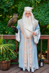 Custom Cosplay Wigs - Custom Wig Company